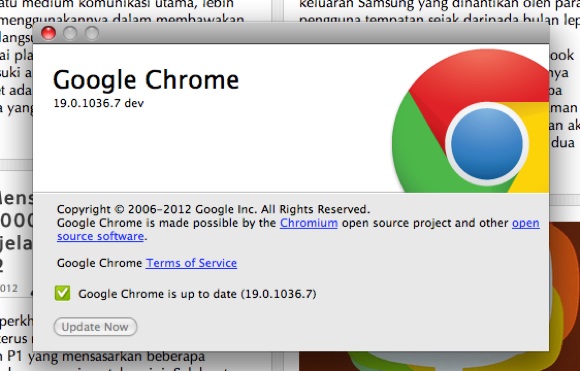 Chrome Versi Pembangun Kini Dikemaskini Kepada Versi 19 | Amanz