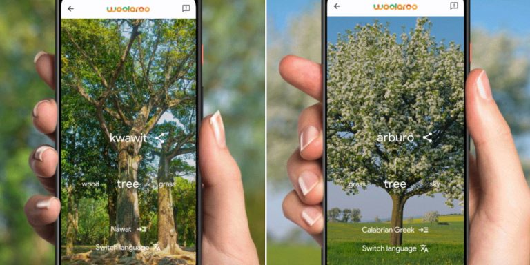 Google Ingin Mengajar Bahasa-Bahasa Yang Terancam Menggunakan Woolaroo ...