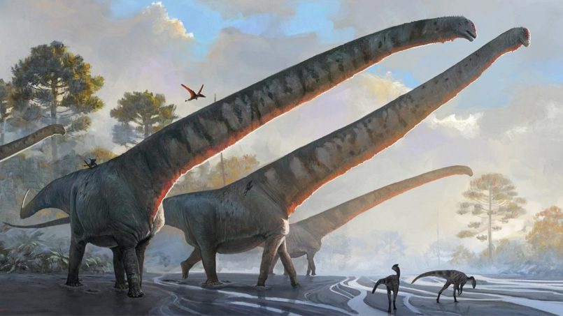 Mamenchisaurus Ialah Haiwan Dengan Leher Terpanjang Dalam Sejarah | Amanz