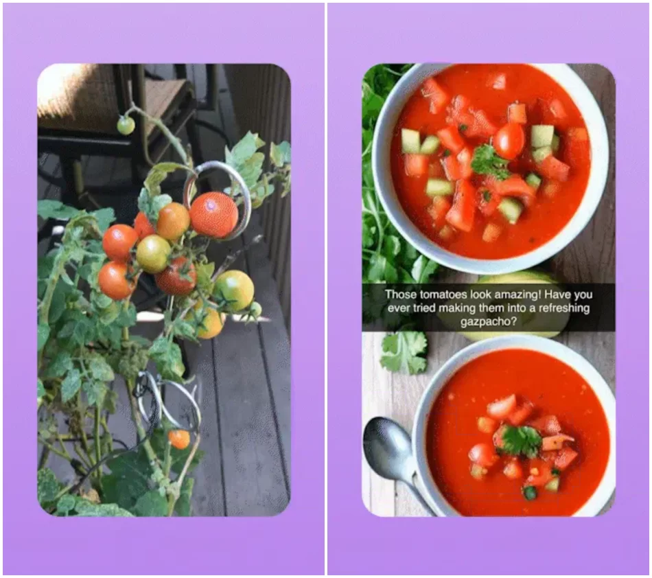 Snapchat Menambah Penjana Imej Pada My AI Untuk Pelanggan Snap+ | Amanz