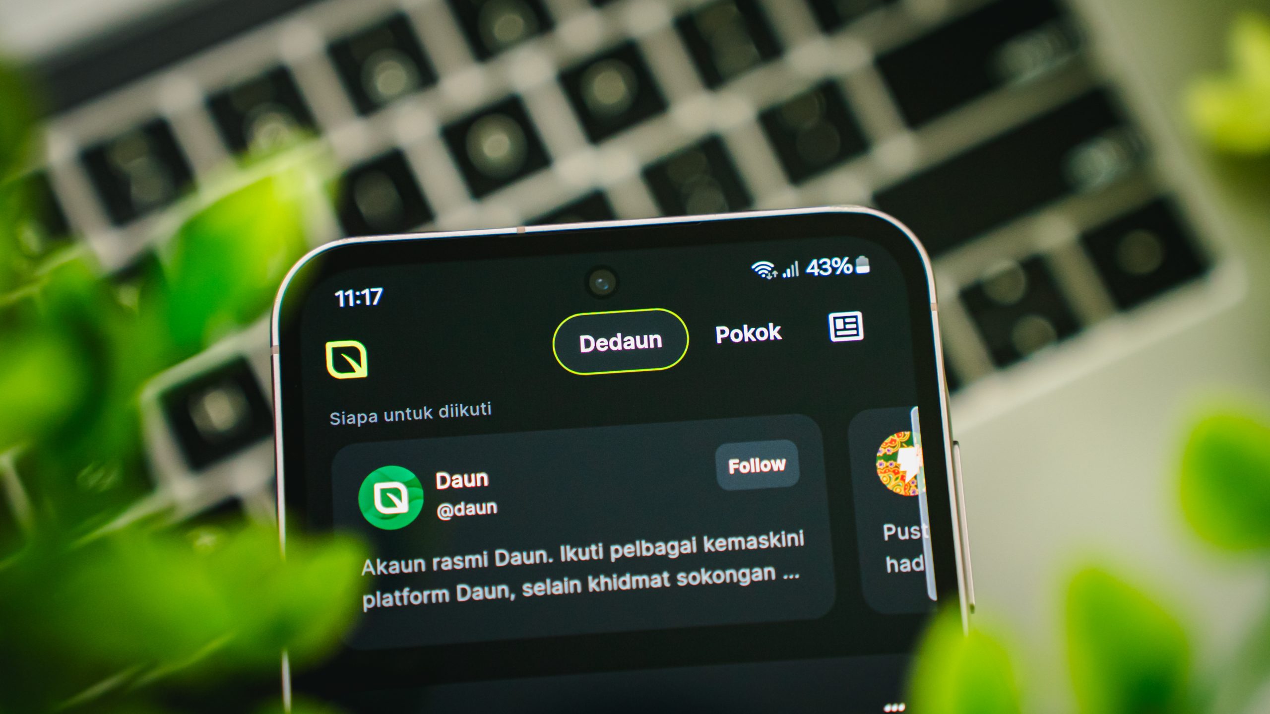 Aplikasi Daun Kini Sedia Diuji – Platform Media Sosial Baharu, Turut Menyertakan Tab Khusus ...